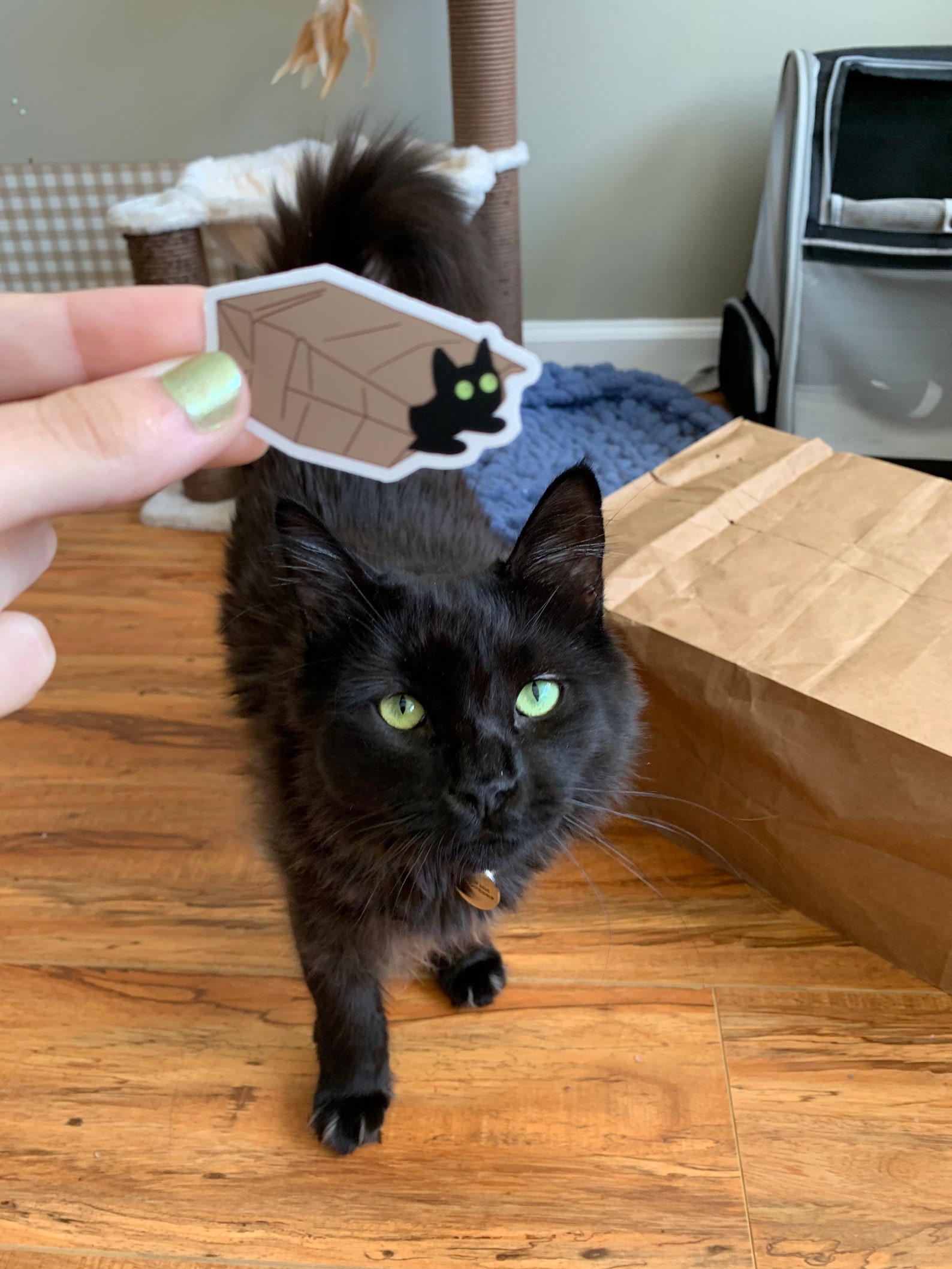 Void Cat Sticker, Cat in Paper Bag, Black Cat Vinyl Decal - Etsy