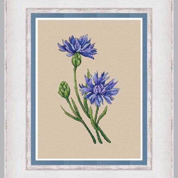 Cornflower Pattern - Etsy