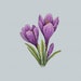 Crocuses Cross Stitch Pattern: Violet Spring Flowers (PDF) - Etsy