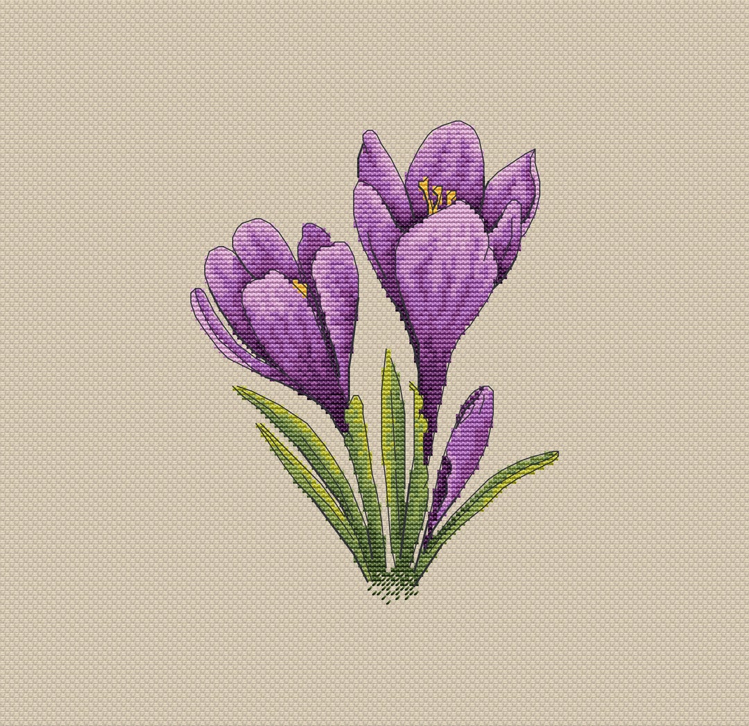 Crocuses Cross Stitch Pattern: Violet Spring Flowers (PDF) - Etsy