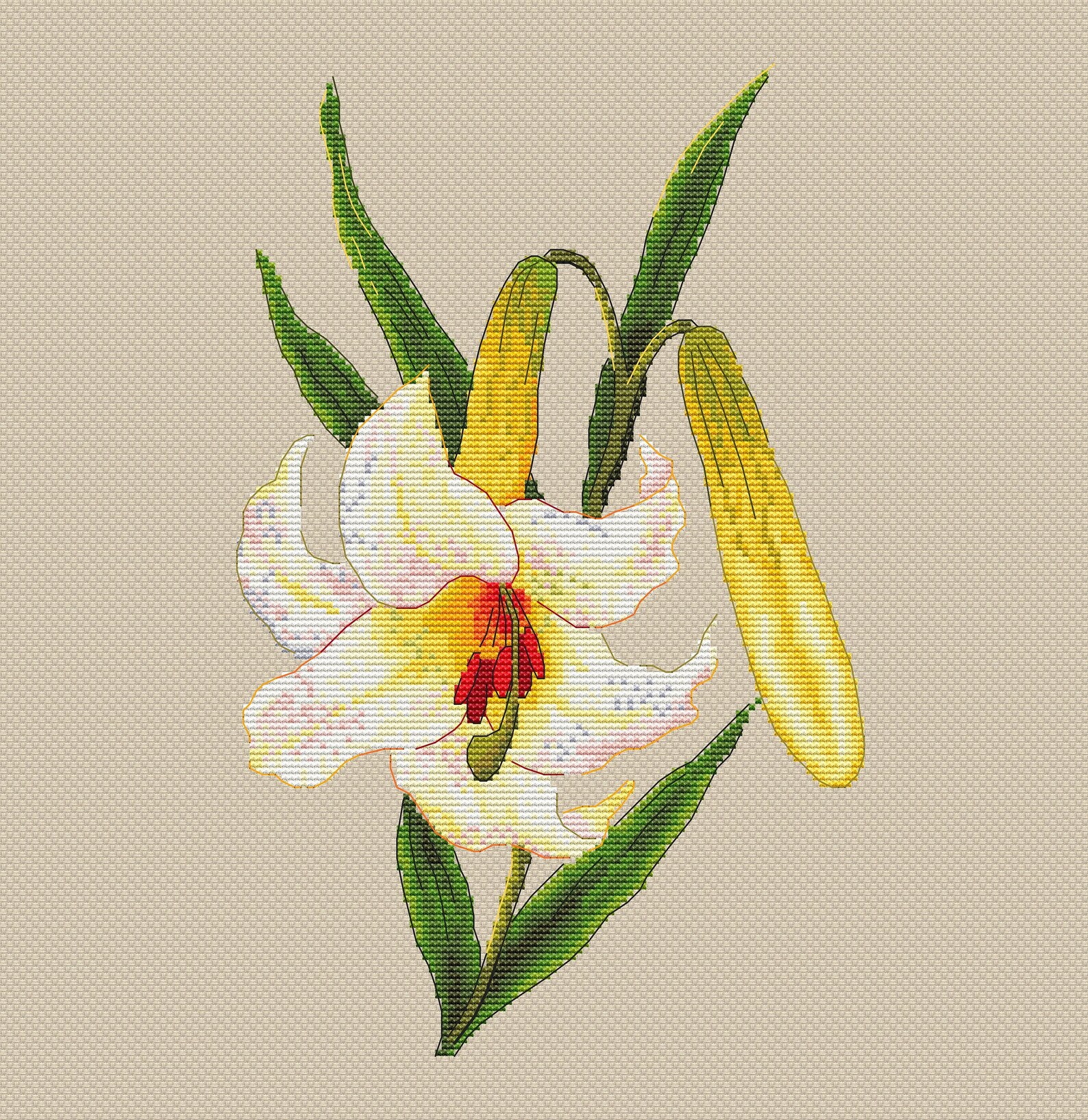 Lily Cross Stitch Pattern White Flower Counted Cross Stitch - Etsy