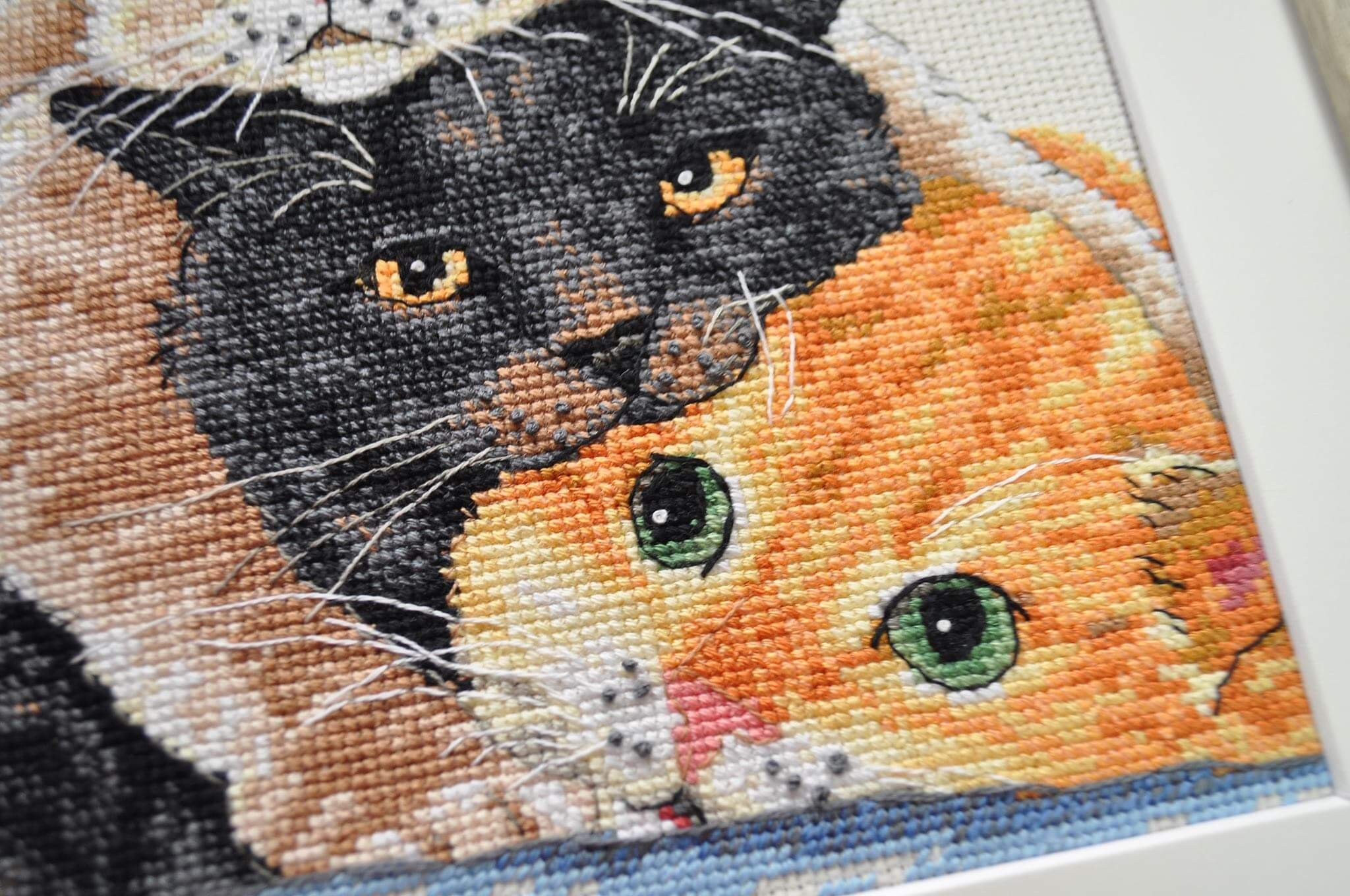Multicolored Cats Cross Stitch Kit Counting Cross Stitch Kit - Etsy
