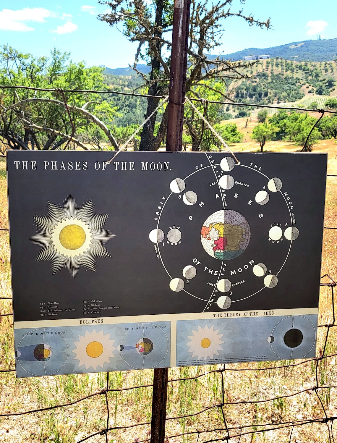 Vintage Wall Posters- Backed and Ready to Hang - Etsy