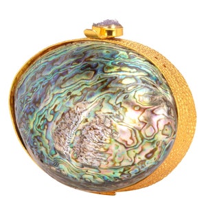 100% Real Mini Paua Abalone Seashell Minaudiere Purse Natural Multi ...