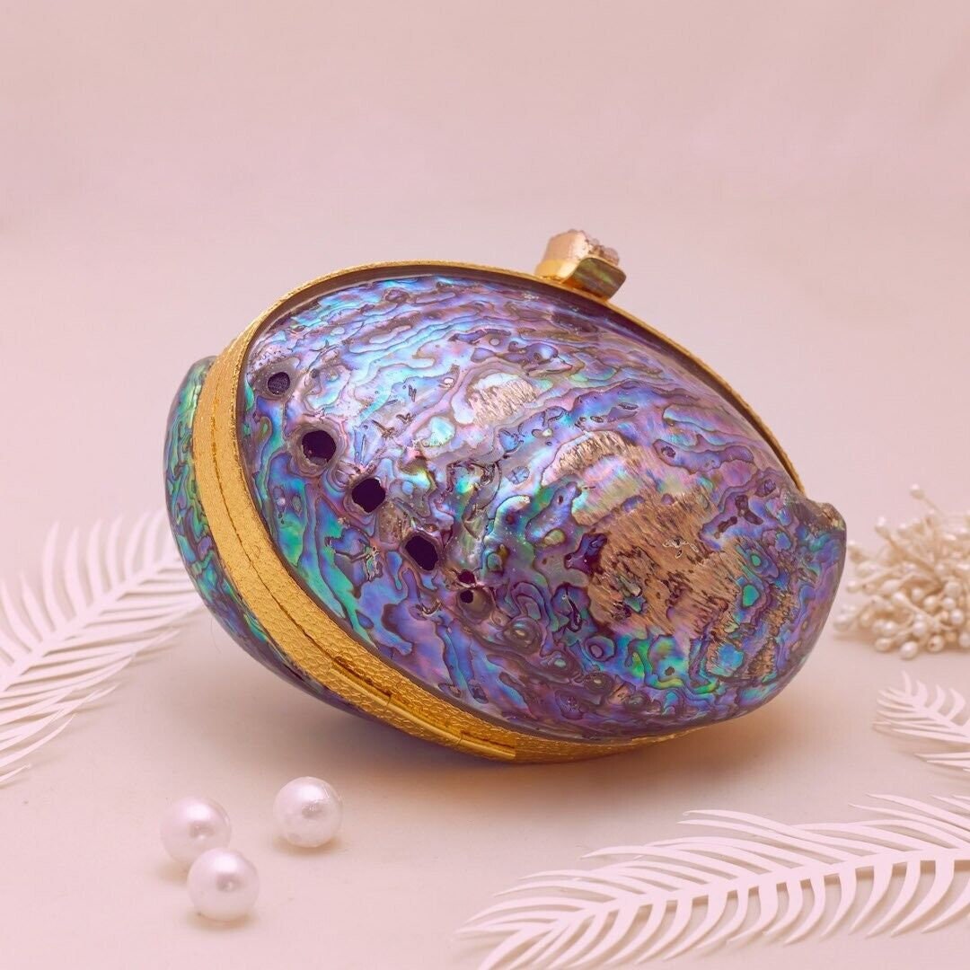 100% Real Mini Paua Abalone Seashell Minaudiere Purse Natural Multi ...