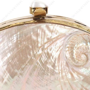 Mini Pink Abalone Seashell Purse With Real Shell-pearl Knob & Gold ...
