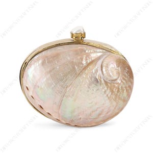 Mini Pink Abalone Seashell Purse With Real Shell-pearl Knob & Gold ...