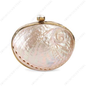 Mini Pink Abalone Seashell Purse With Real Shell-pearl Knob & Gold ...