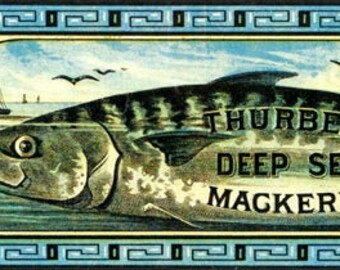 Pelagic Fish Poster - Etsy