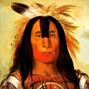 Buffalo Bull Back Fat Head Chief Blood Tribe Indian 1832 by George ...