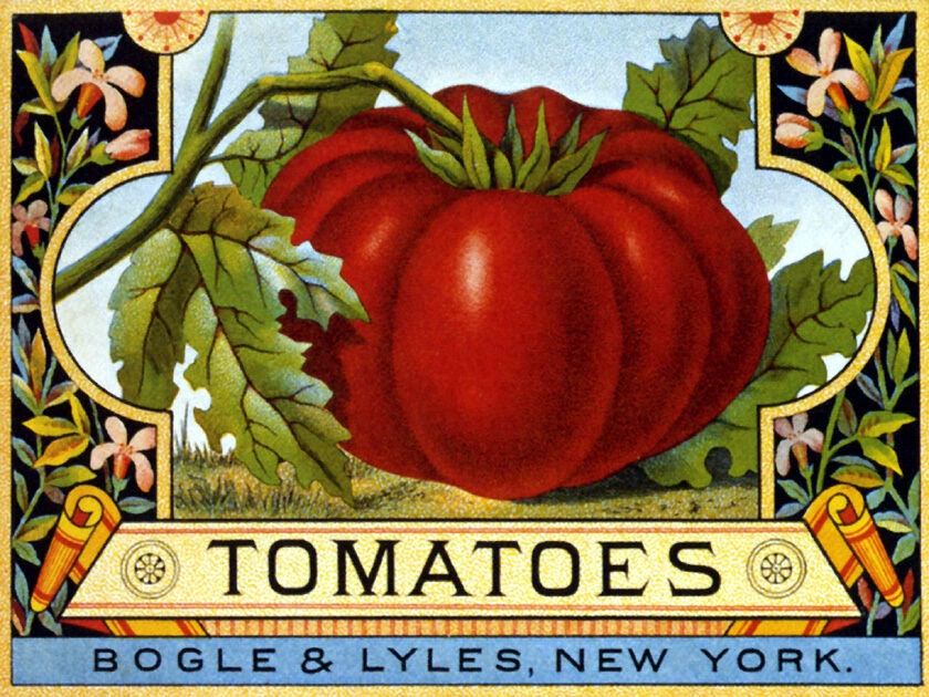 Crate Label Tomatoes Fruit Health Food Usa Produce Vintage | Etsy