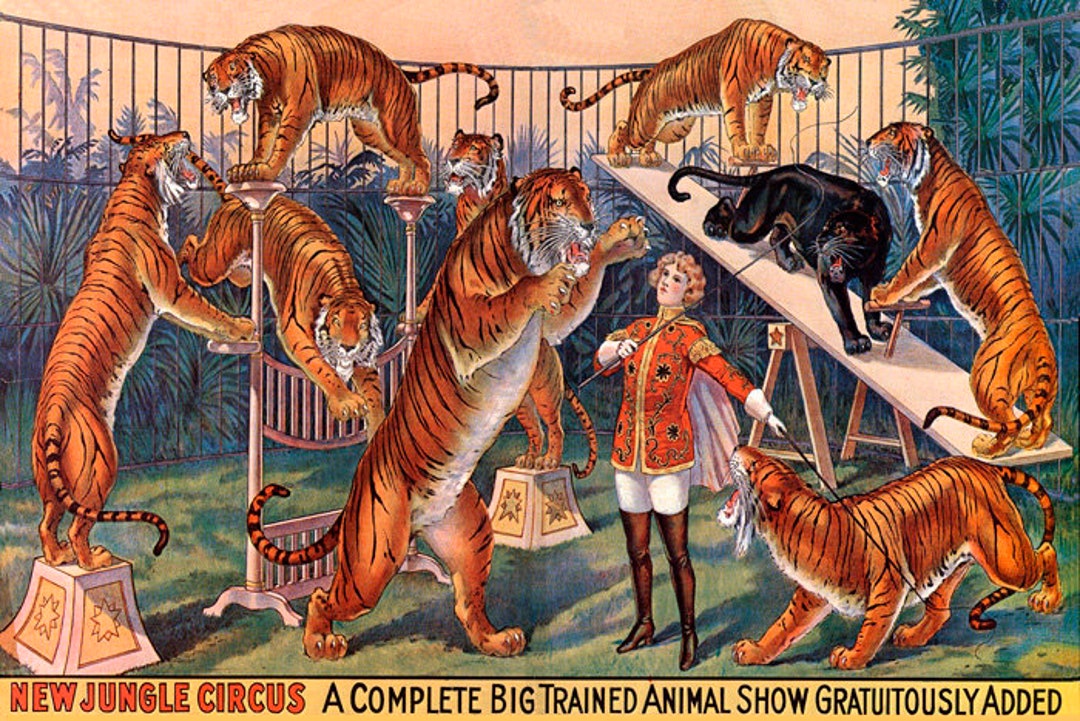 New Jungle Circus Big Trained Animal Show Tigers Vintage Poster Repro ...