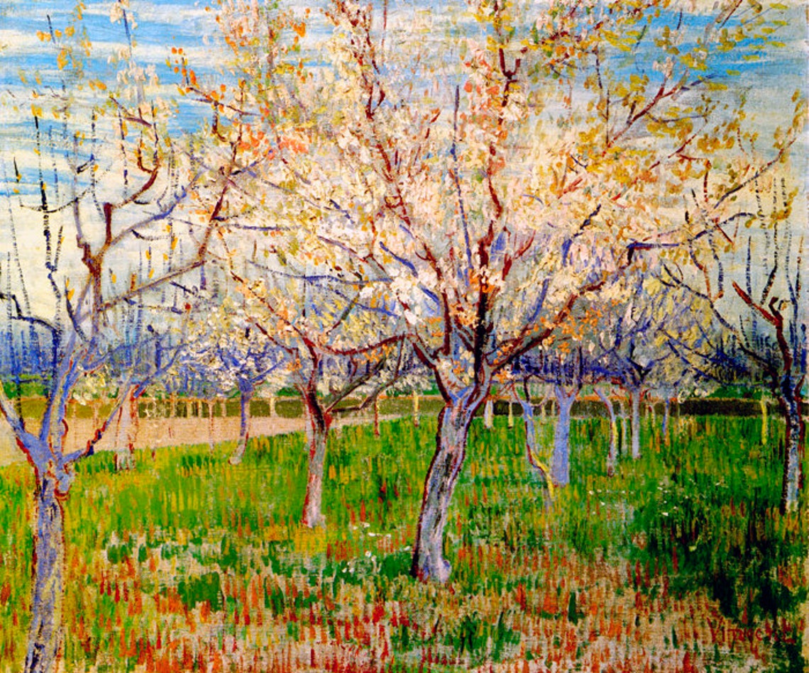 Orchard With Blossoming Apricot Trees 1888 Painting by Vincent Van Gogh ...