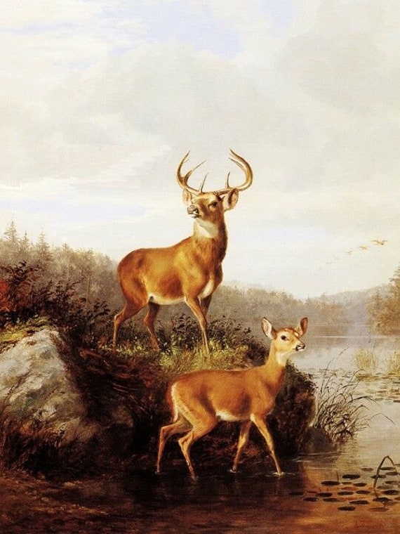 Alert Deer Lake Wildlife American Painting by Arthur | Etsy