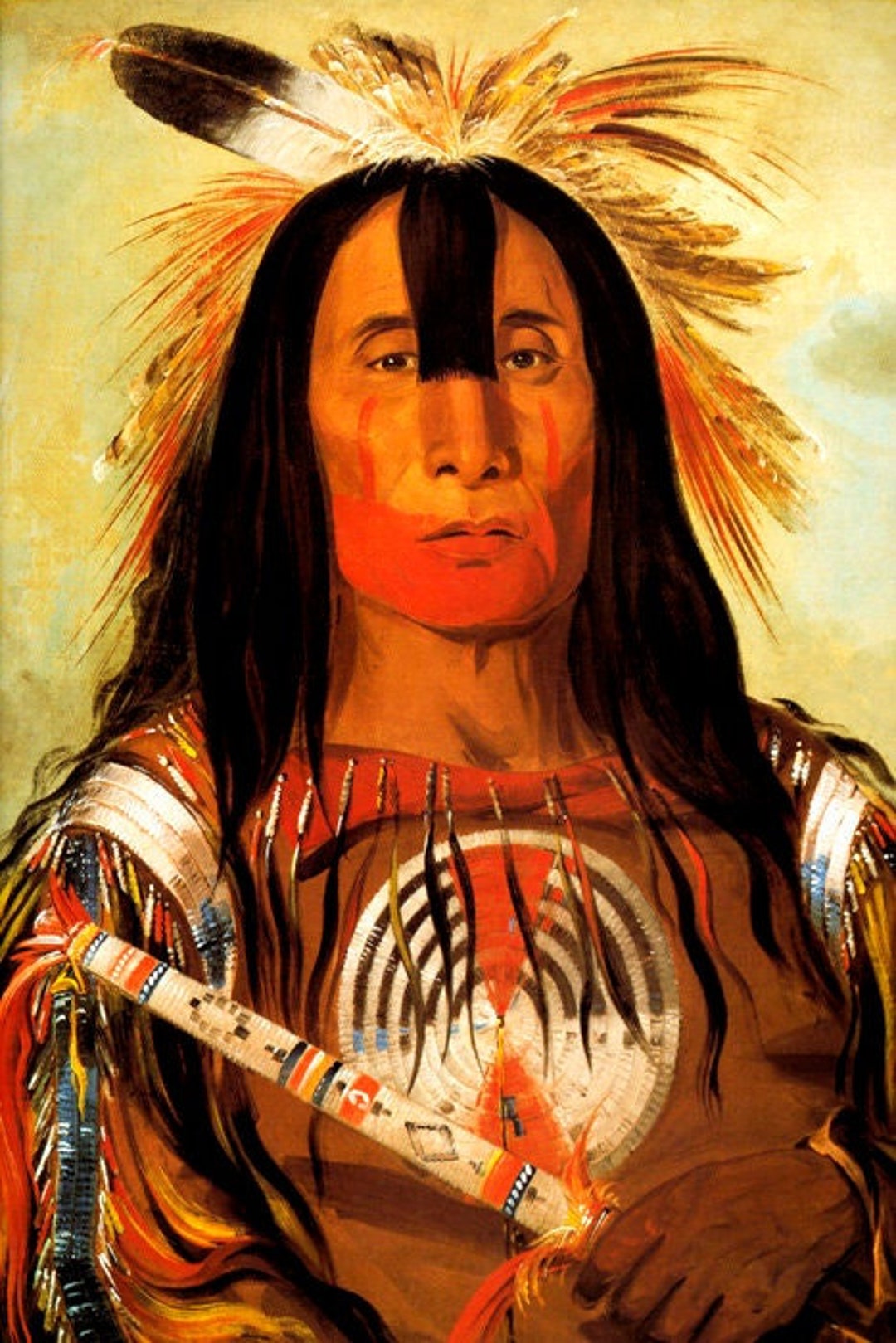 Buffalo Bull Back Fat Head Chief Blood Tribe Indian 1832 by George ...