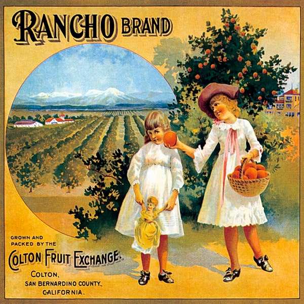 Orange Crate Labels - Etsy