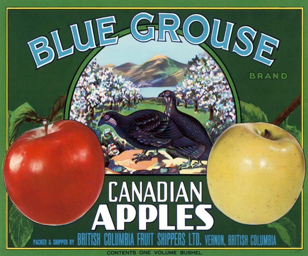 Blue Grouse Bird Canadian Apples Red and Golden Delicious Vintage ...