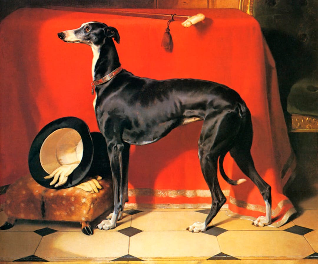 A Favorite Greyhound of Prince Albert 1841 Dog Painting by Edwin ...
