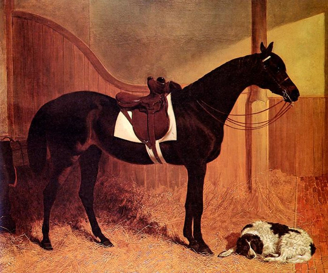 Askar and Roger in A Loose Box Barn Horse Dog Friends by John F ...