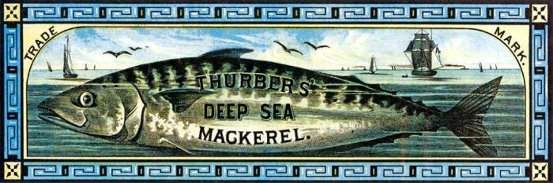 Fishing Thurbers Deep Sea Magkerel Pelagic Fish Label Vintage Poster ...