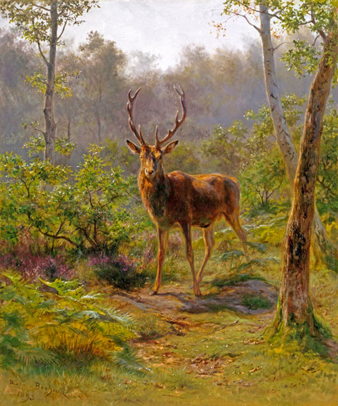 Monarch Deer in the Woods Wildlife Animal Painting by Rosa Bonheur ...