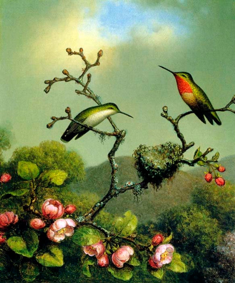 Ruby Throat Hummingbirds of North America Painting Martin - Etsy