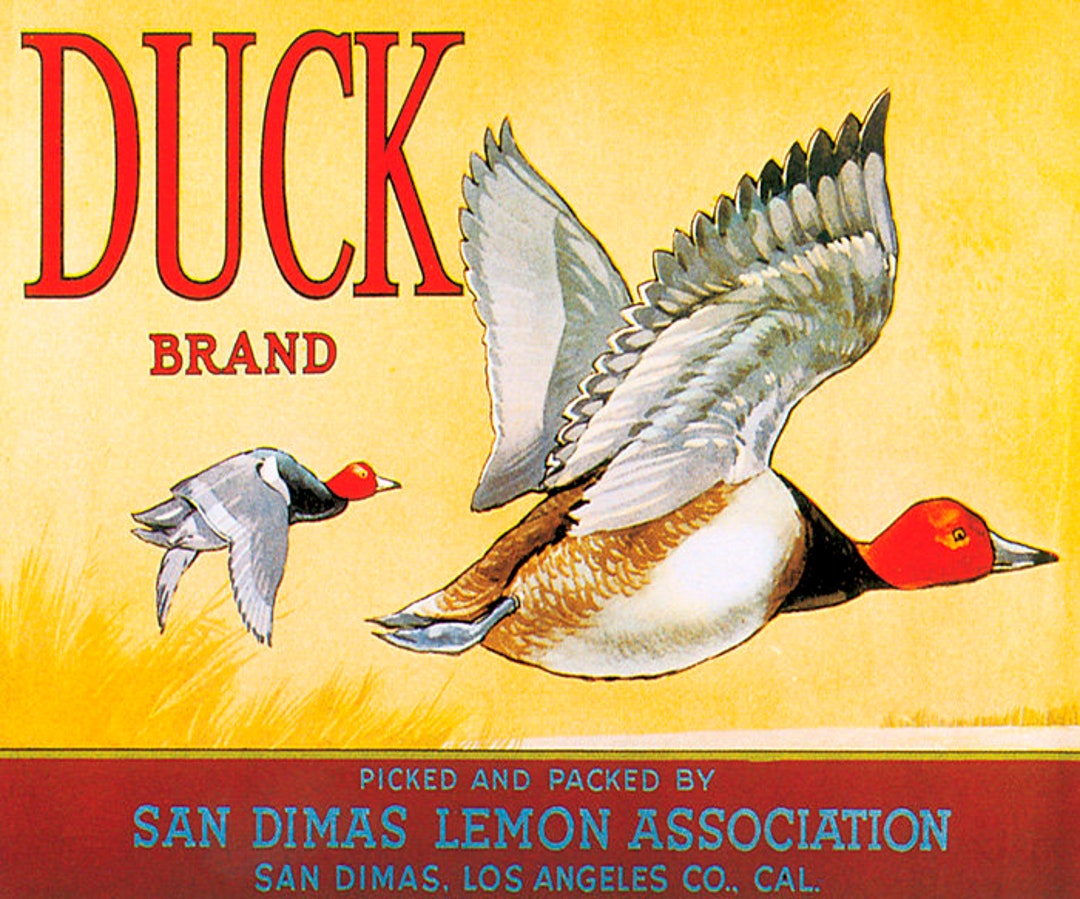 Duck Brand Fruit San Dimas Lemon Association Crate Label Ad Vintage ...