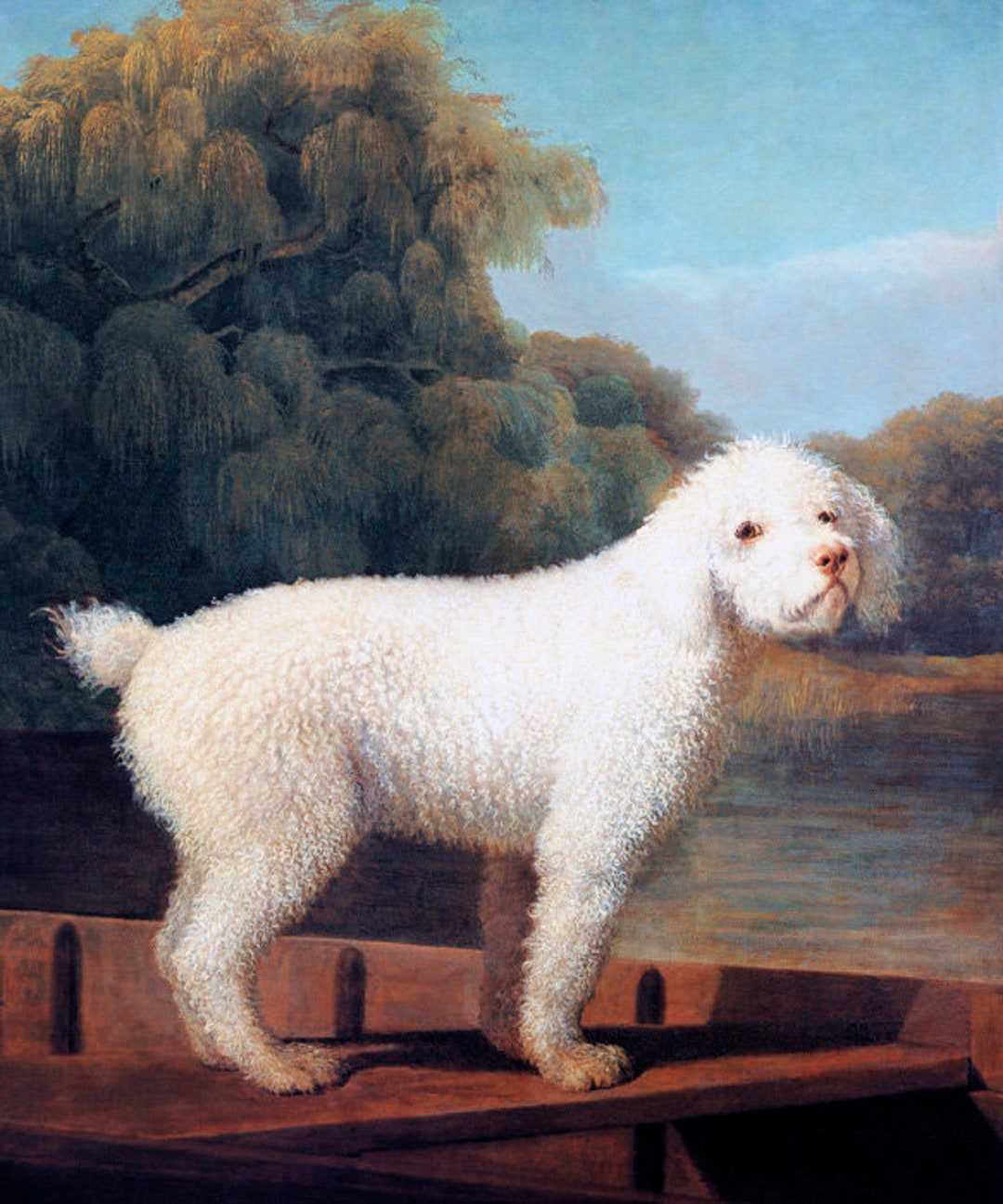 Dog White Poodle In A Punt Painting Art By George Stubbs Repro - Etsy.de