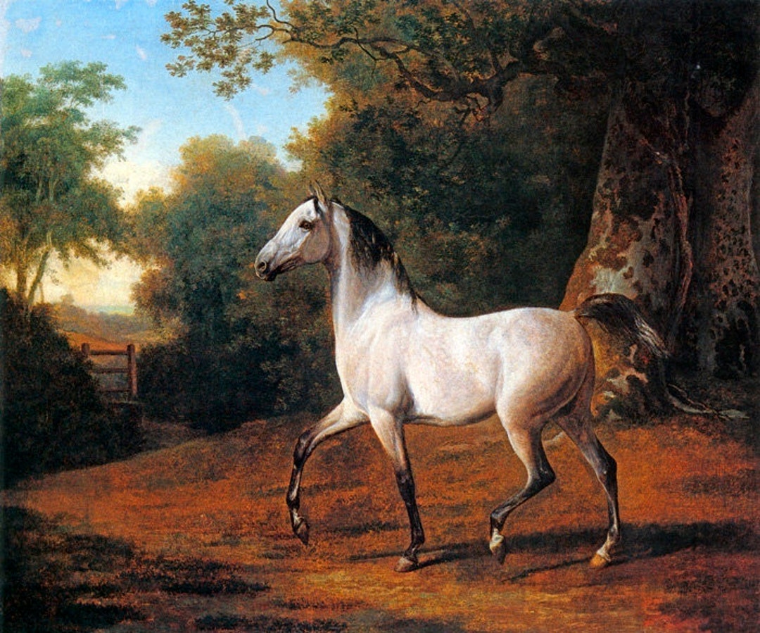 Grey Arab Stallion in Wooded Landscape Horse by Jacques Laurent Agasse ...