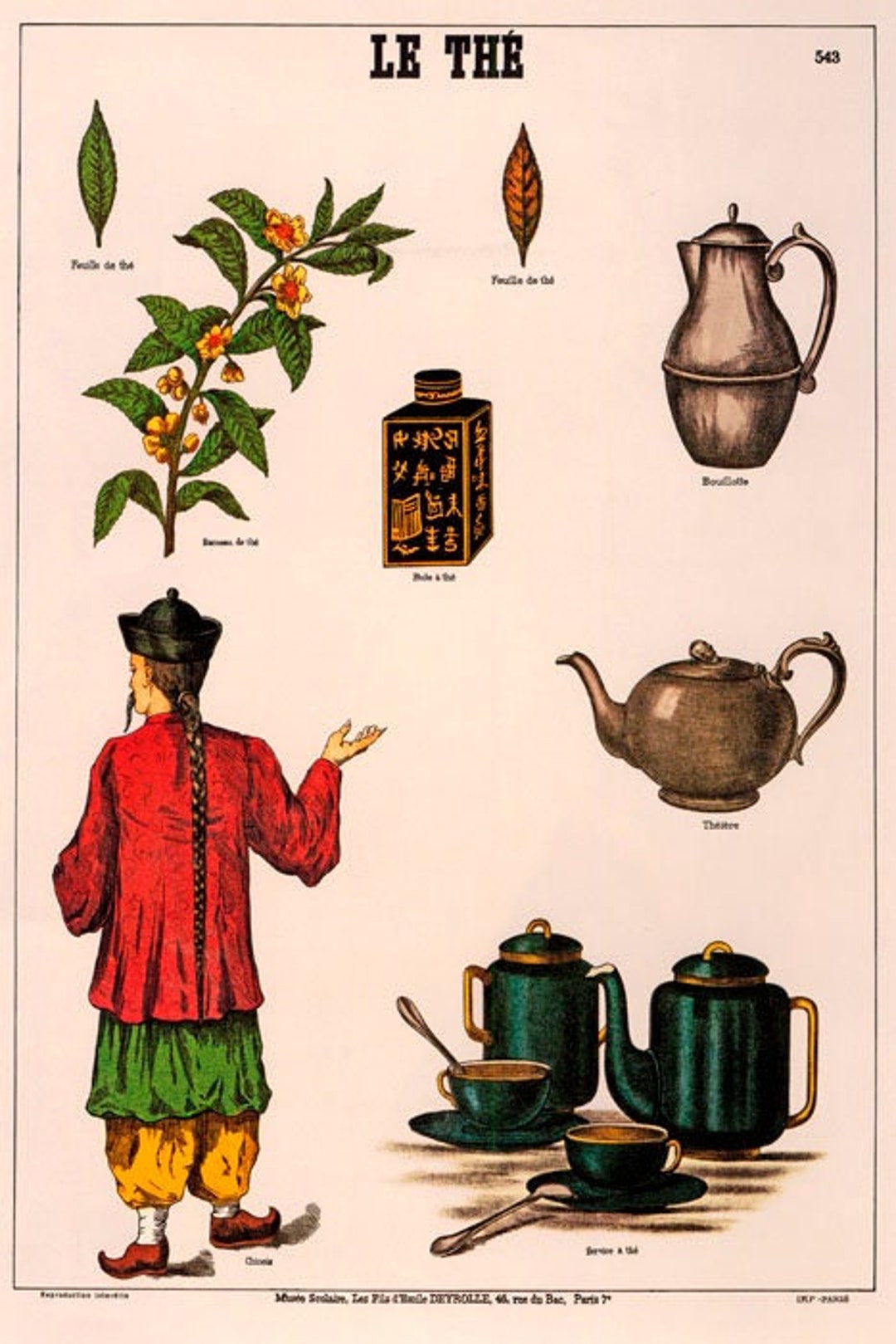 Le the Chinese Tea Fresh Herbs Teapots French Vintage Poster - Etsy