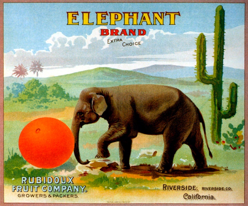 Crate Label Elephant Orange Fruit Riverside California Usa - Etsy