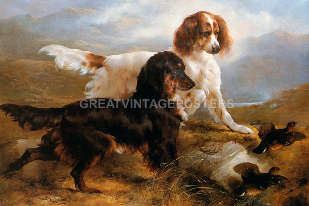 Dog Setters in A Highland Landscape Bird Painting Art by Edwin Douglas ...