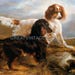 Dog Setters in A Highland Landscape Bird Painting Art by Edwin Douglas ...