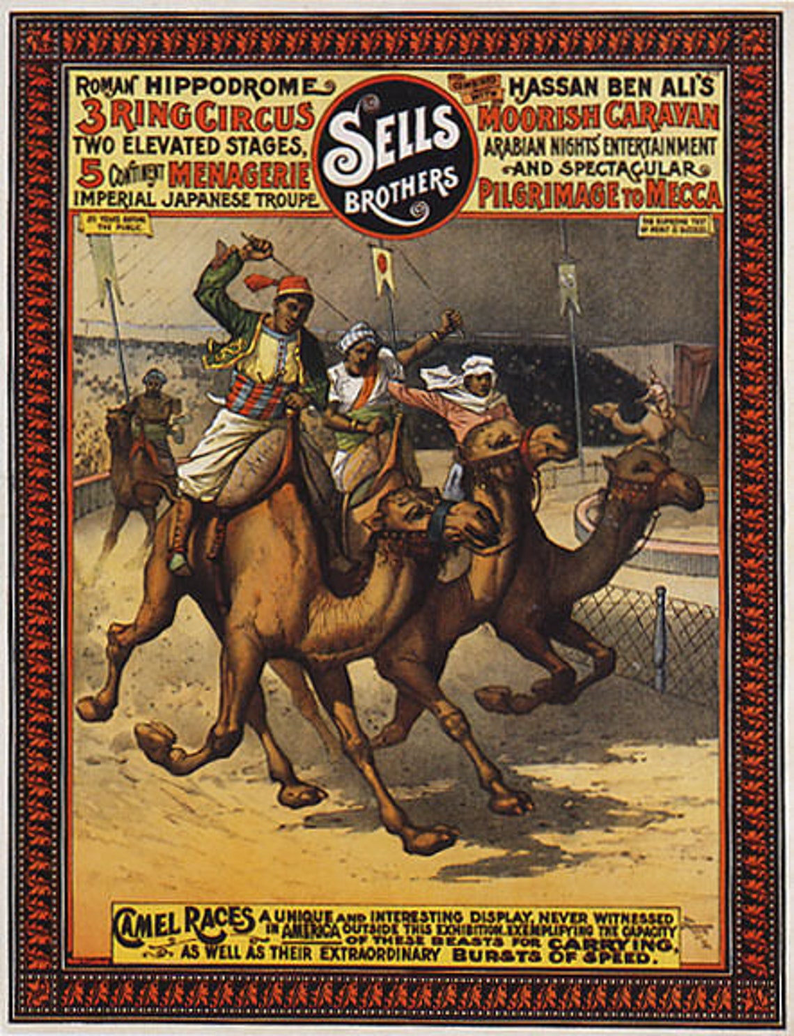 Camel Race Circus Show Arabian Night's Entertainment - Etsy