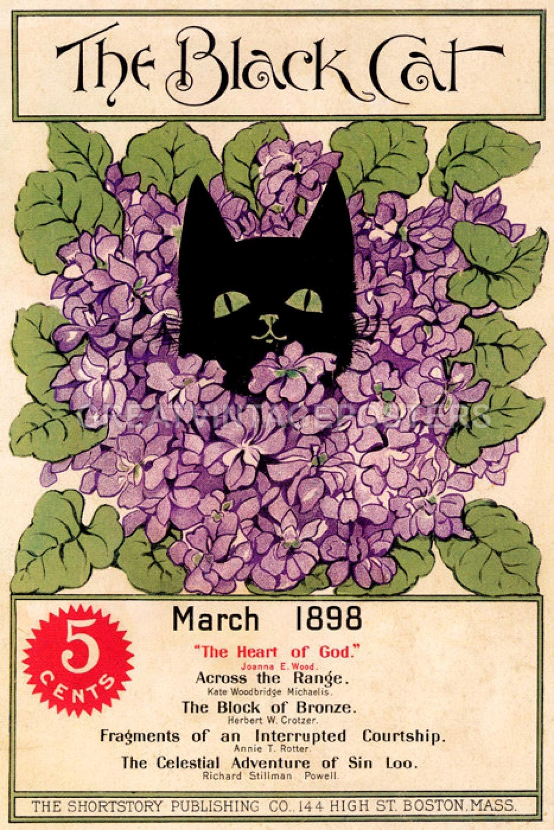 The Black Cat Magazine Cover 1898 Short Story American Vintage Poster ...