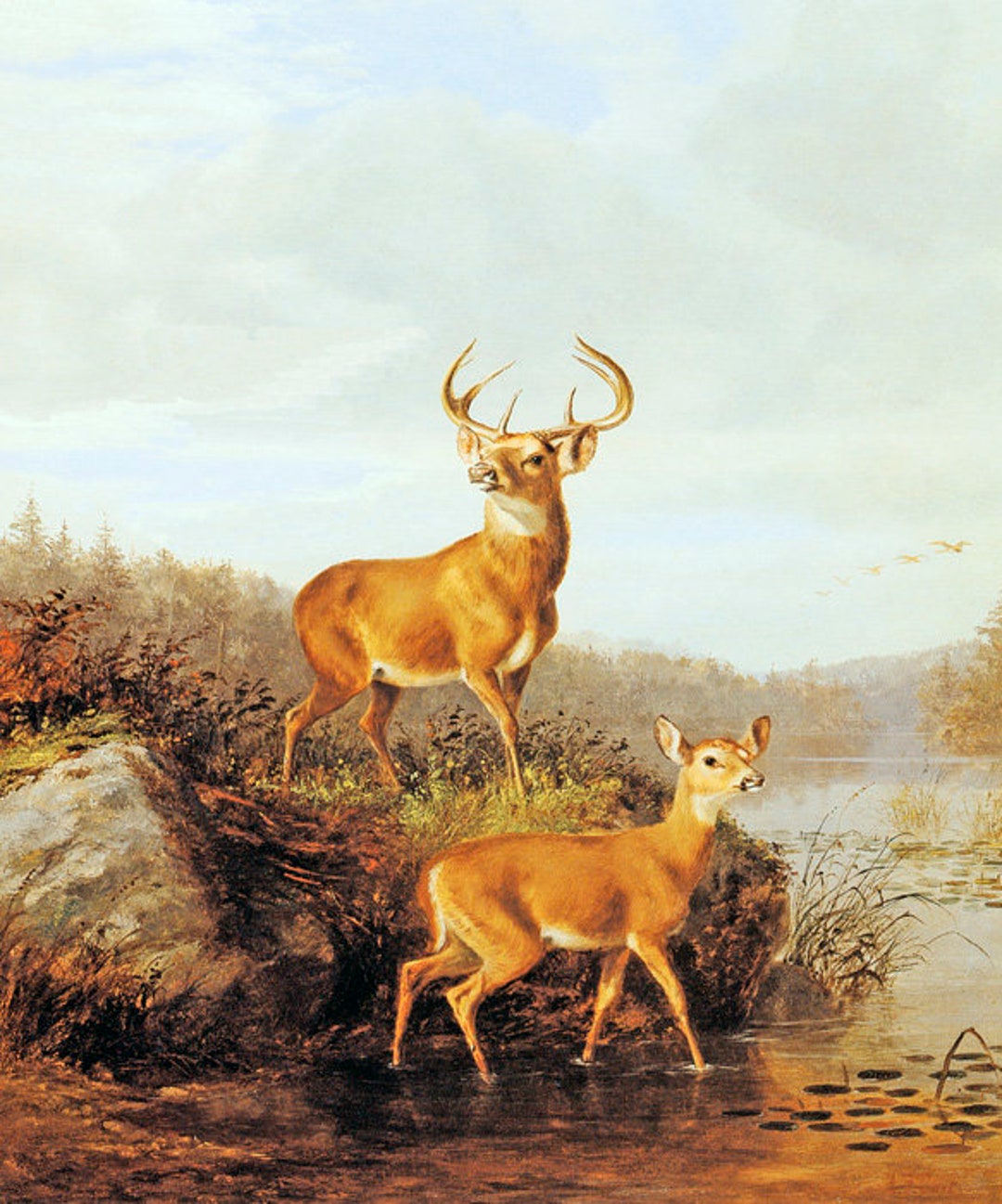 Alert Deer Lake Wildlife American Painting by Arthur Fitzwilliam Tait ...