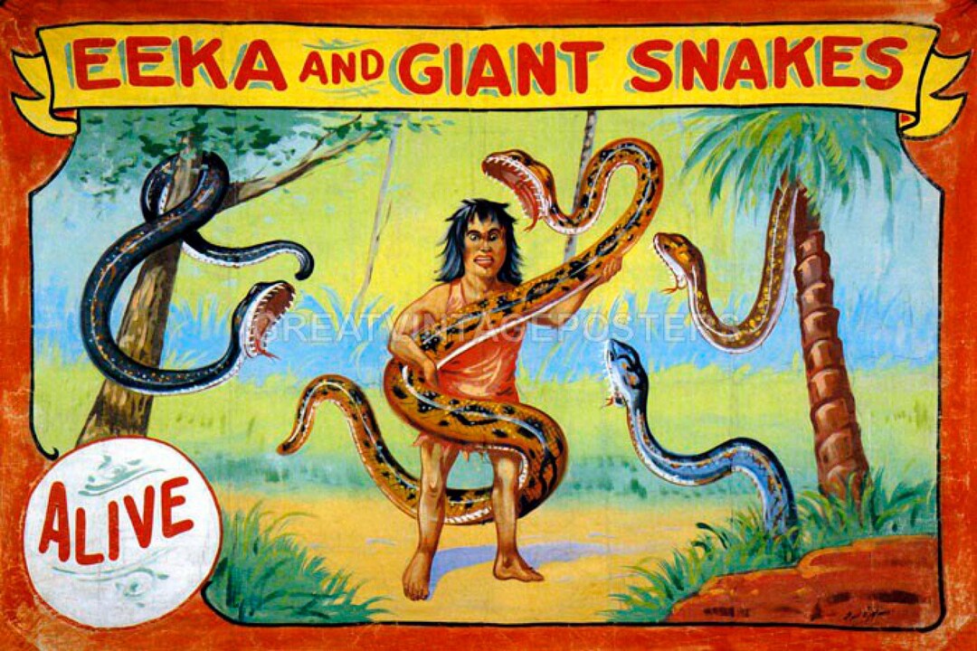 Freak Geek Circus Eeka and Giant Snake Alive Jungle Vintage Poster ...