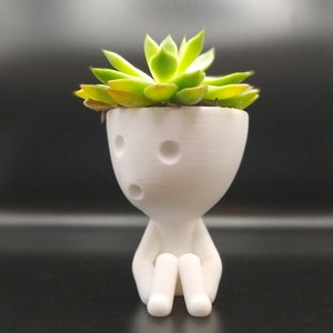 Pair of Kodama Tree Spirit Planters Forest Spirits Show That - Etsy