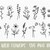Line Flowers Bundle Svg Png Dxf, Flora Line Art Svg Cut Files - Etsy