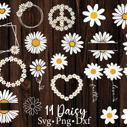 Daisy Bundle Svg Png Dxf - Etsy
