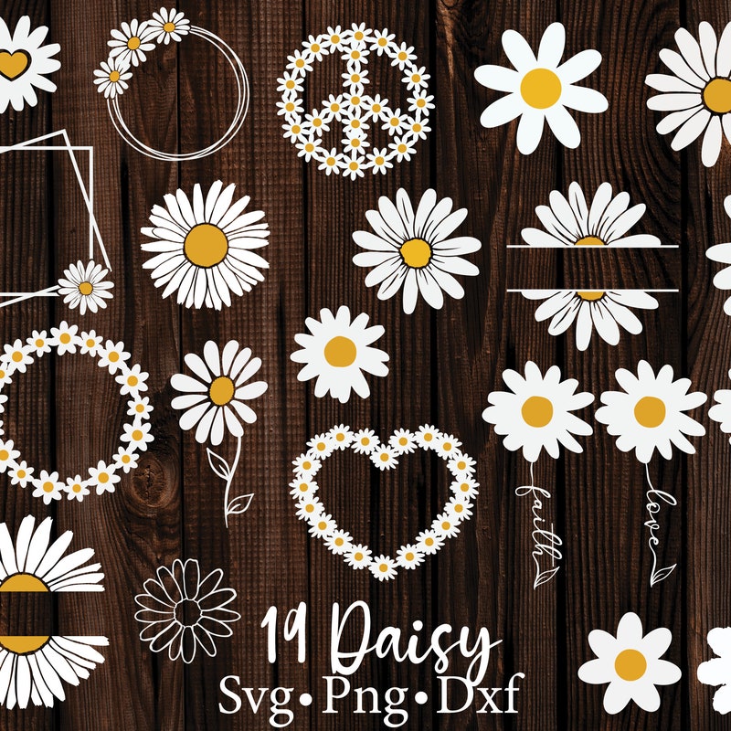 Daisy Svg - Etsy