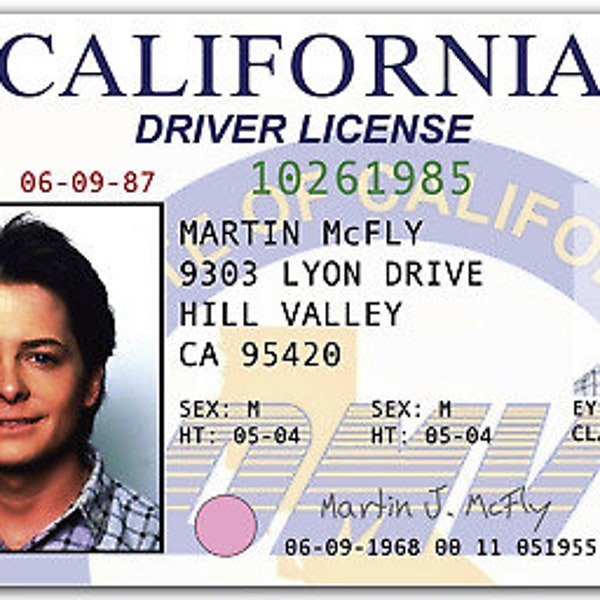 Back to the Future Id - Etsy