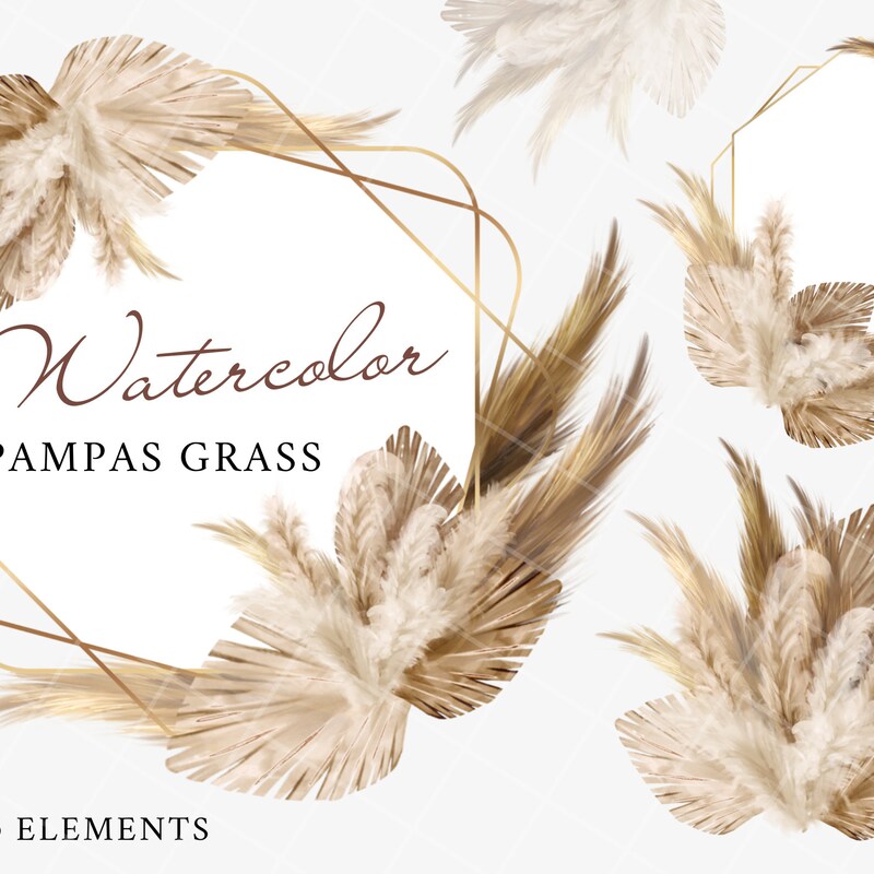 Pampas Grass Clipart - Etsy