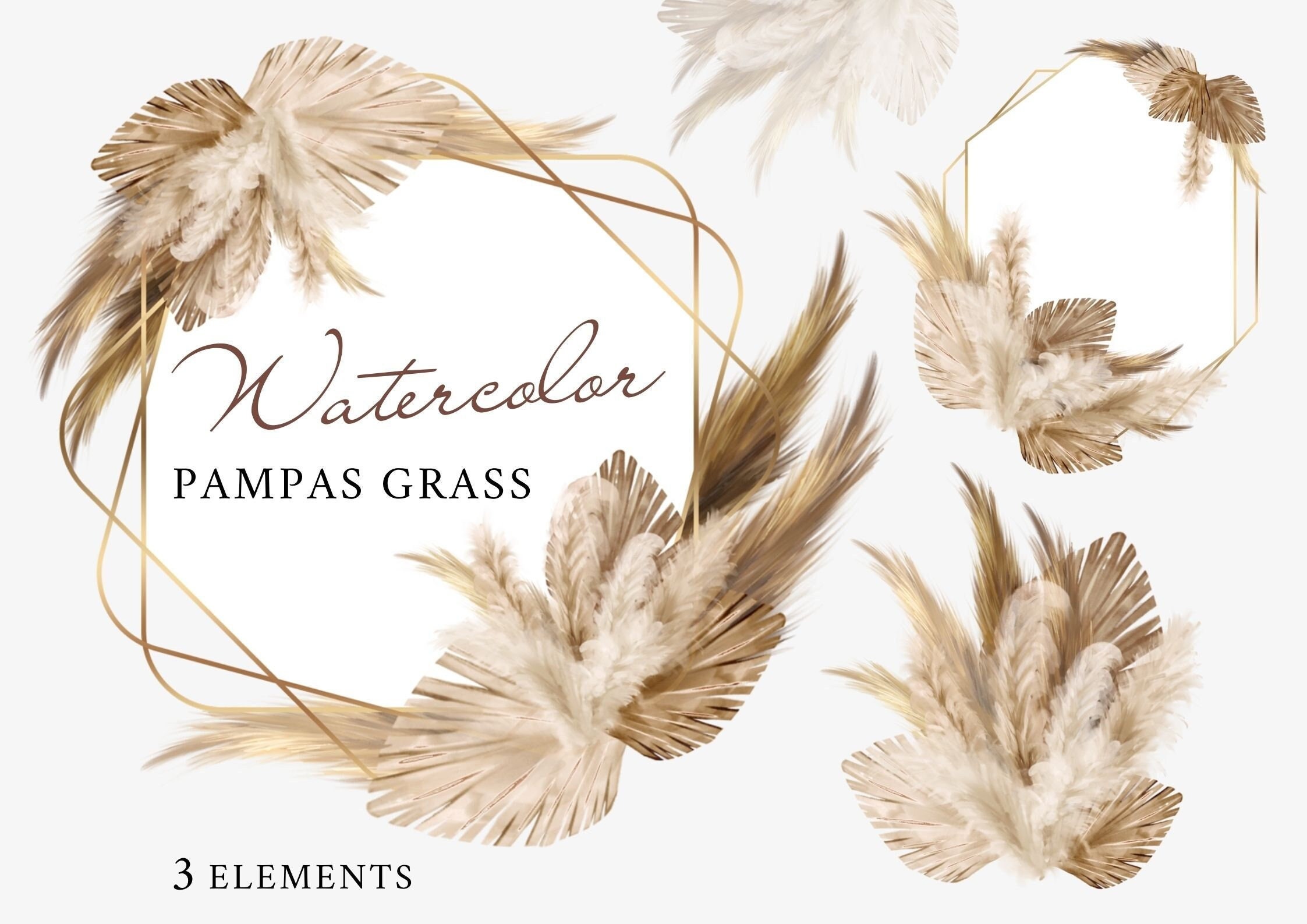 Watercolor Pampas Grass Clipart Elegant Boho Flower - Etsy New Zealand