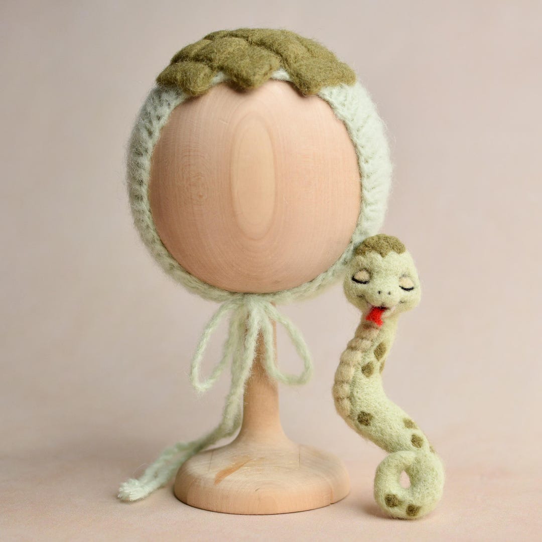 Newborn Snake Set, Knitted Snake Hat and Felted Toy, Baby Coming Home ...