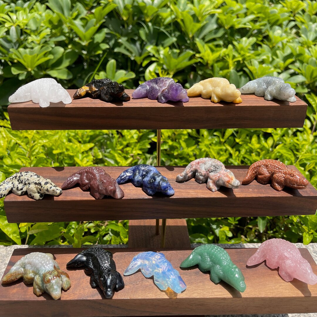 2‘’ Crystal Crocodile, Gemstone Crocodile Carvings, Crystal Animal ...