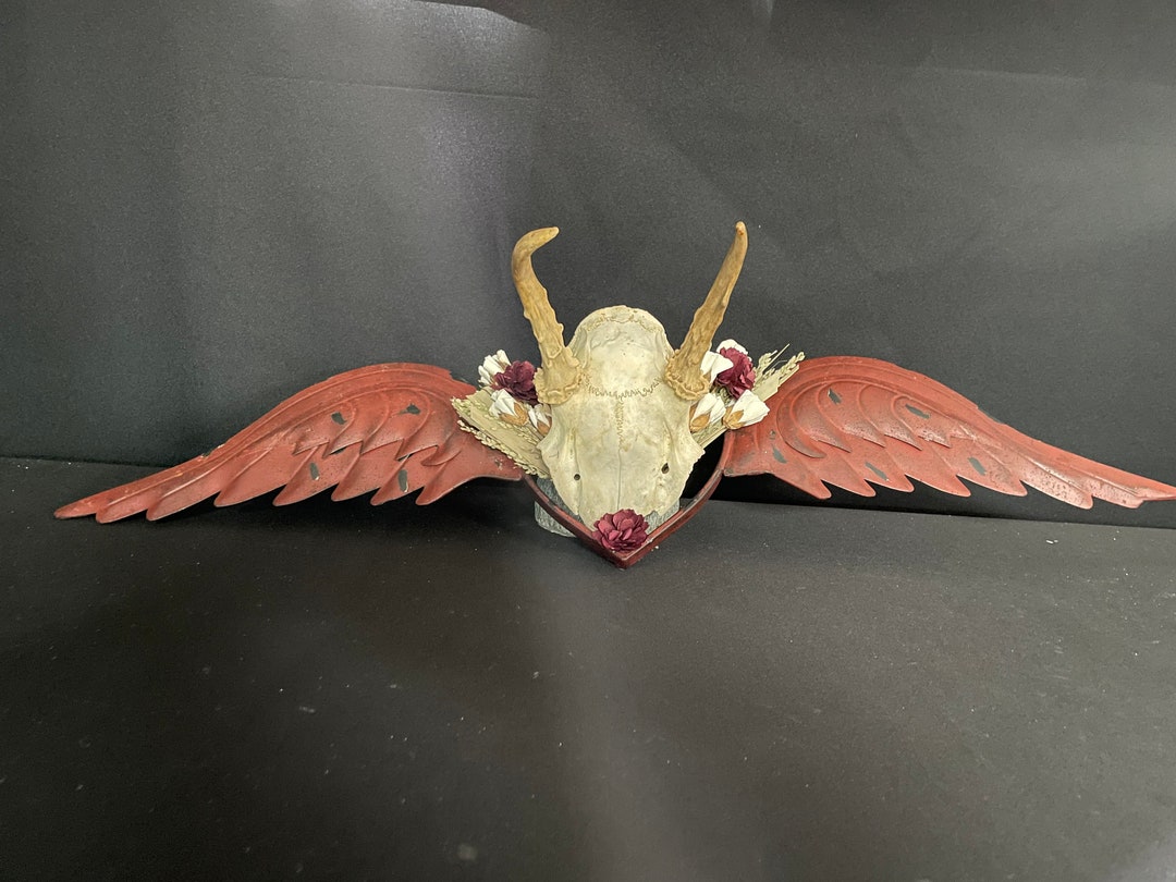 Small Spike Deer Skull Cap With Wings Wall Hanging - Etsy