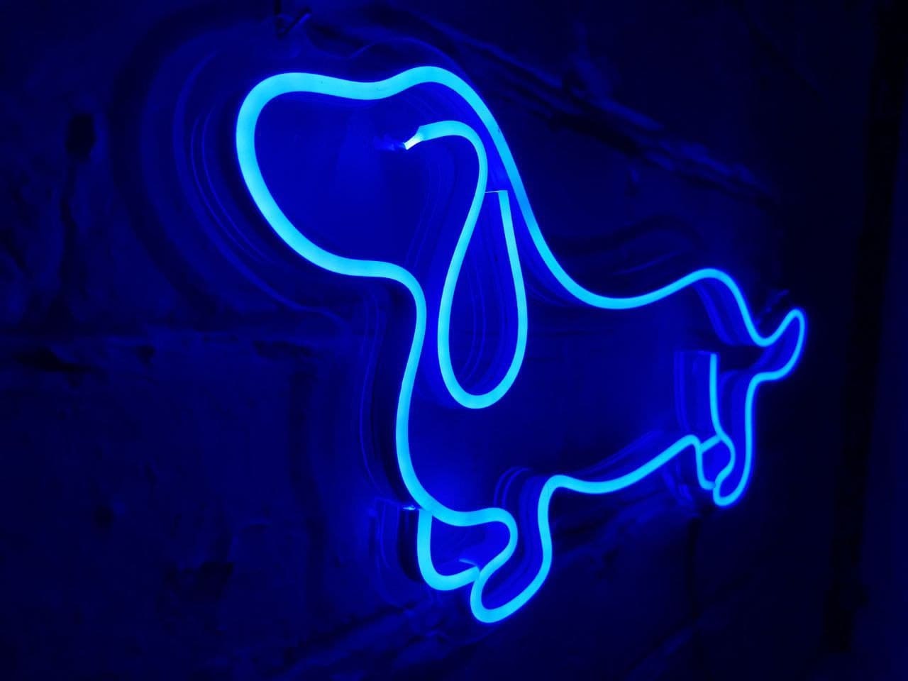 Signo de neón Dachshund letrero de neón LED para perros | Etsy