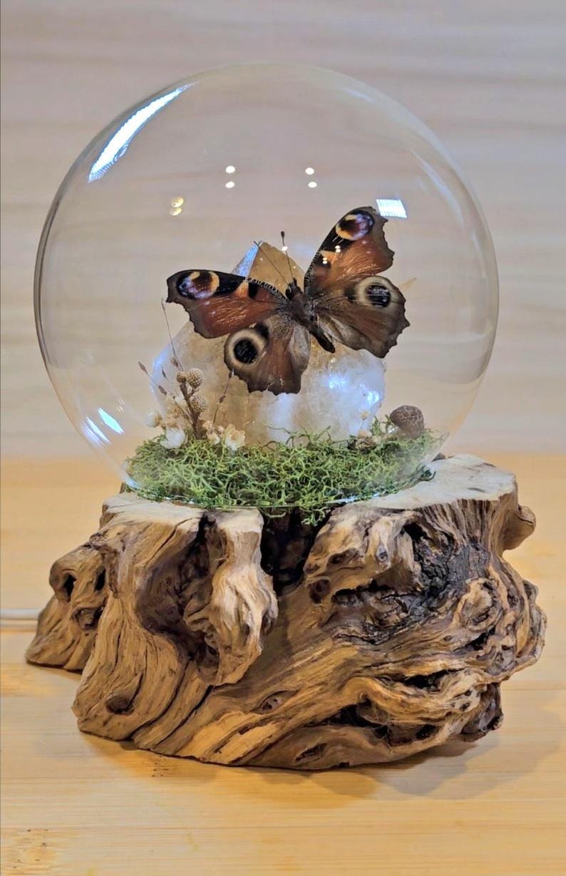 Real Butterfly Dome With Citrine Crystal: LED Light Driftwood Base ...