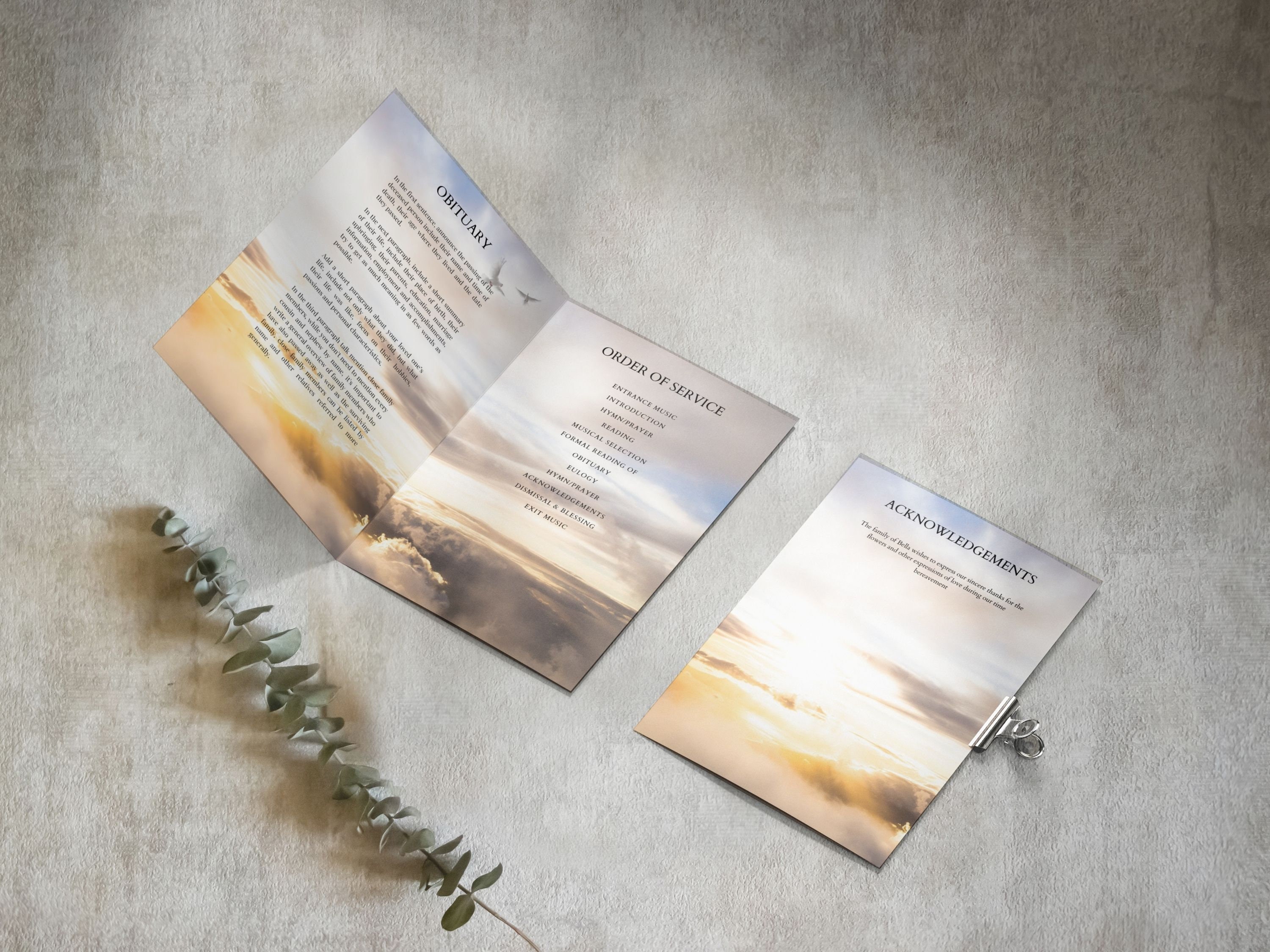 Funeral Program Editable Funeral Program Celebration of Life Templates ...